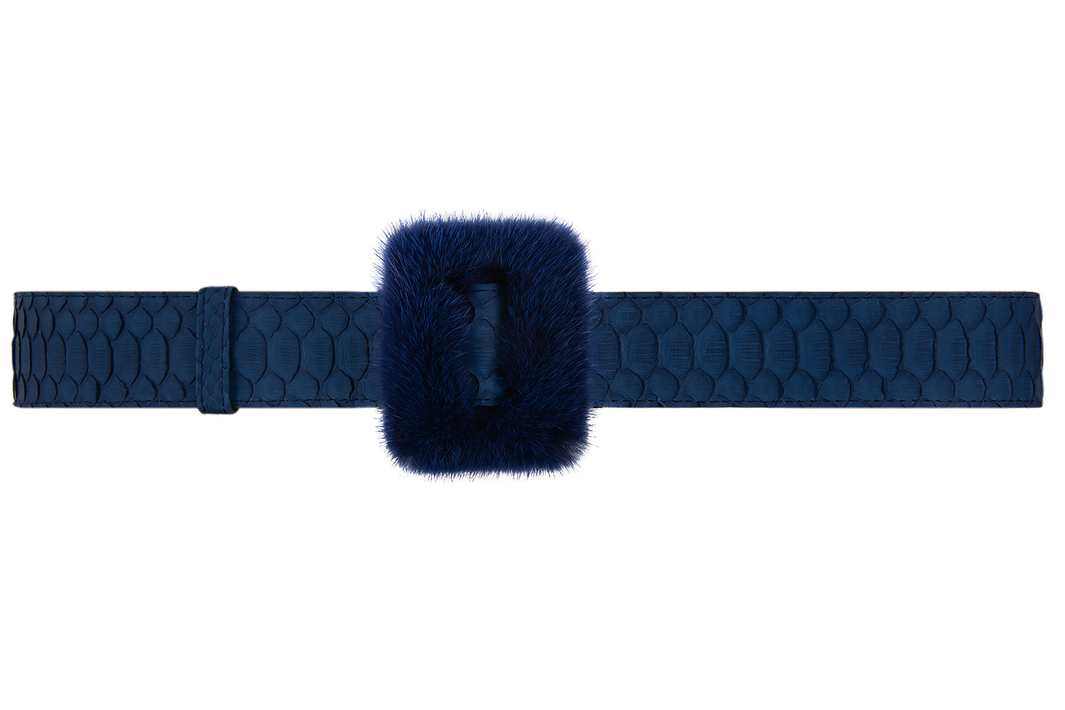 CINTURÓN PITÓN HEBILLA AZUL